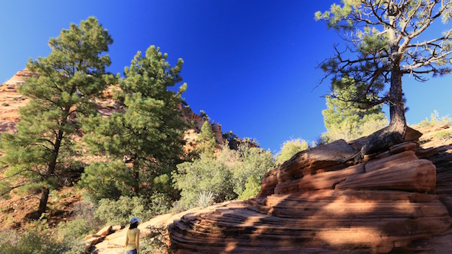 Bud Light Commercials And Magical Thinking - Evolution Counseling