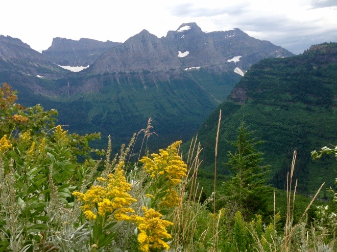 Intergenerational - Evolution Counseling