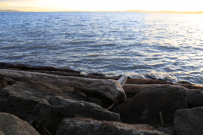 Mental Health Evolution Counseling