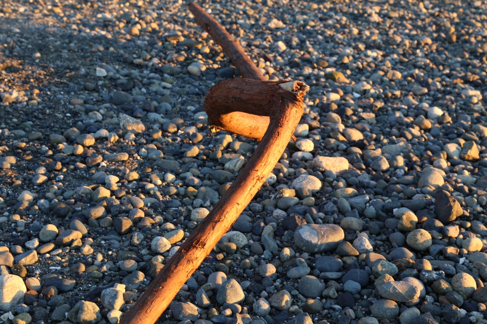 Idealized Self-Image - Evolution Counseling