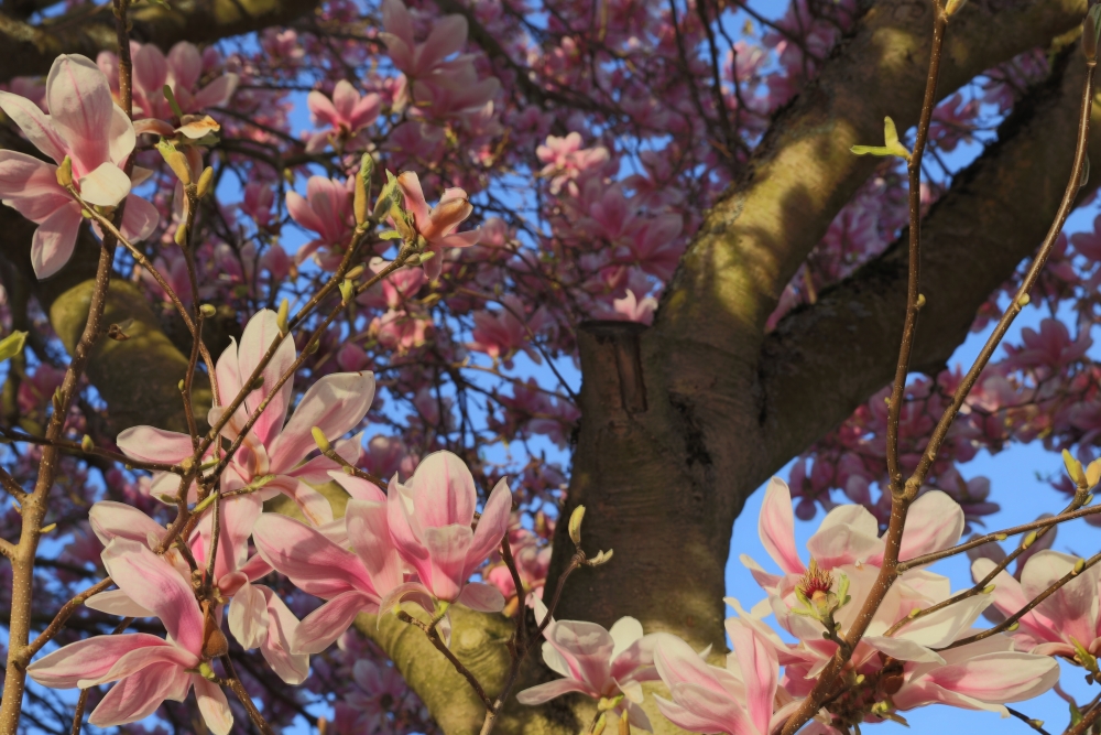 Desperate For A Solution - Evolution Counseling