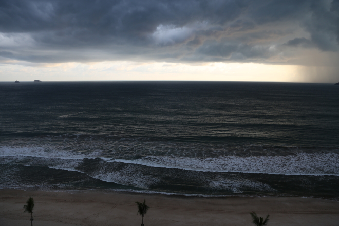 Domination Evolution Counseling