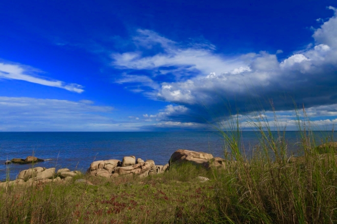 Domination And Capitulation Evolution Counseling