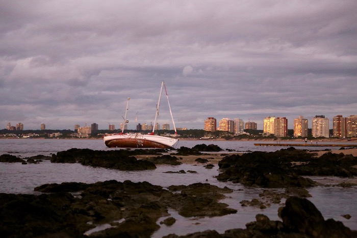 The Insanity Of War - Evolution Counseling